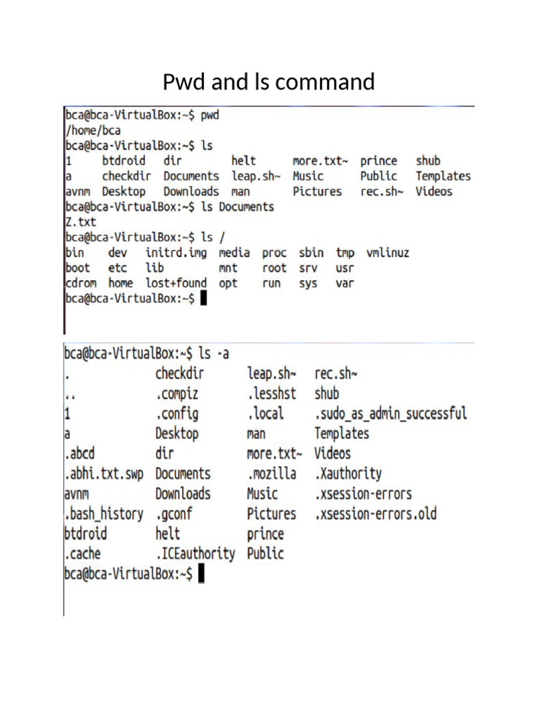 l linux assignment | PDF
