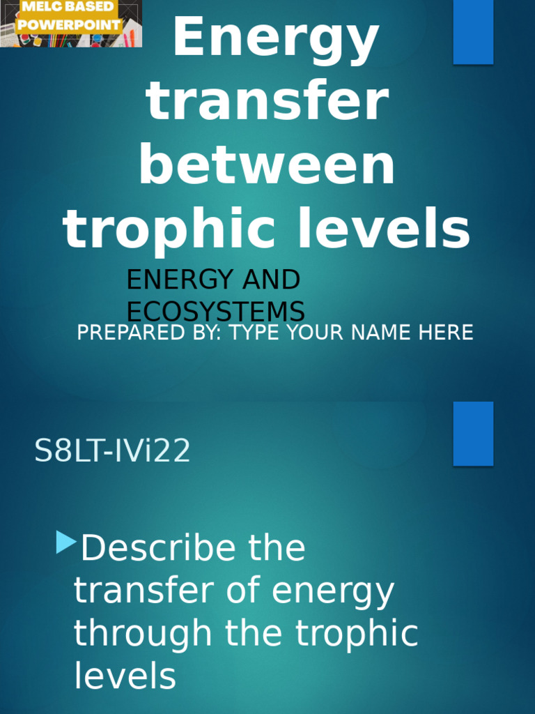 Energy Transfer in Trophic Levels | PDF | Food Web | Photosynthesis
