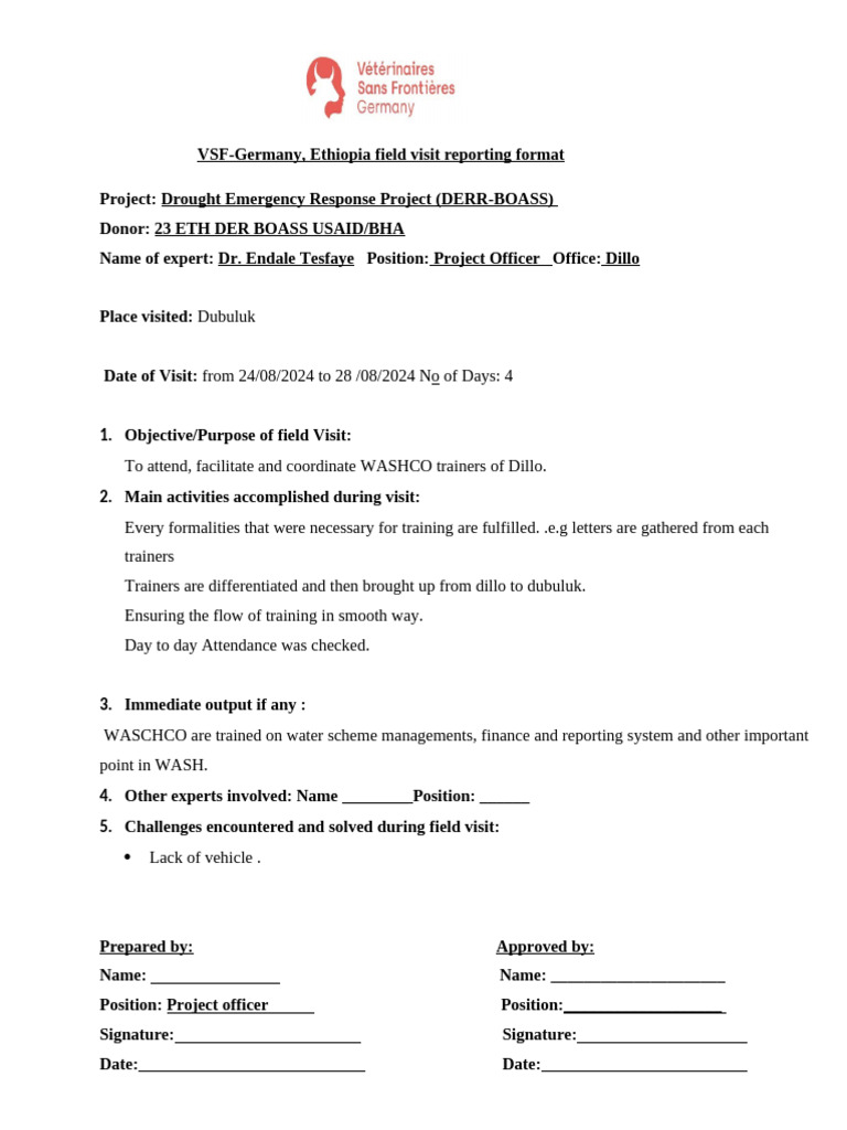 Travel Report Form | PDF