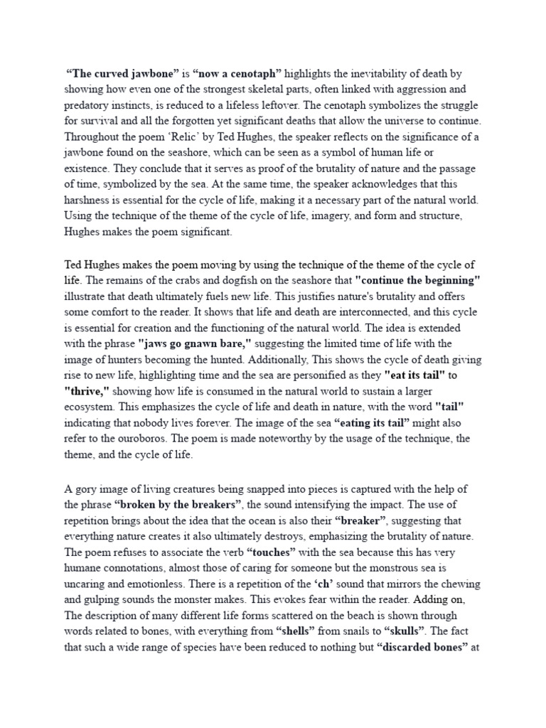 Relic Answer | PDF | Poetry