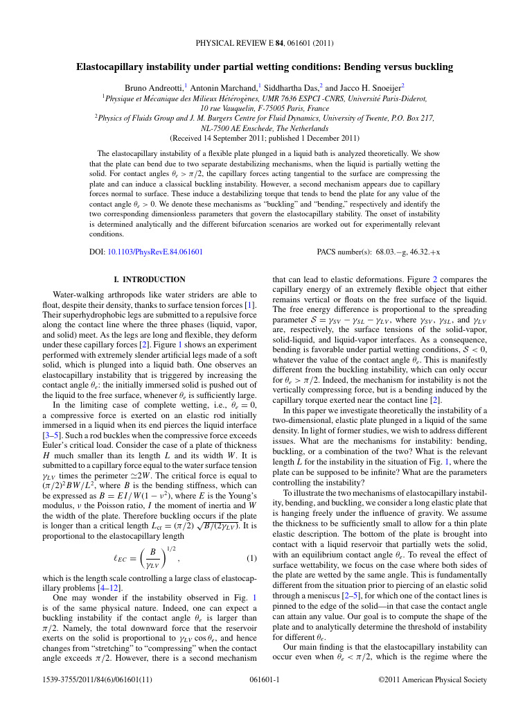 Bending Versus Buckling | PDF | Wetting | Buckling