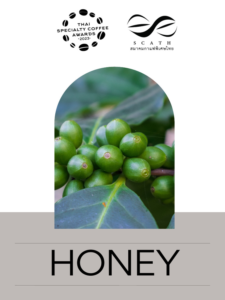 Catalog Honey | PDF