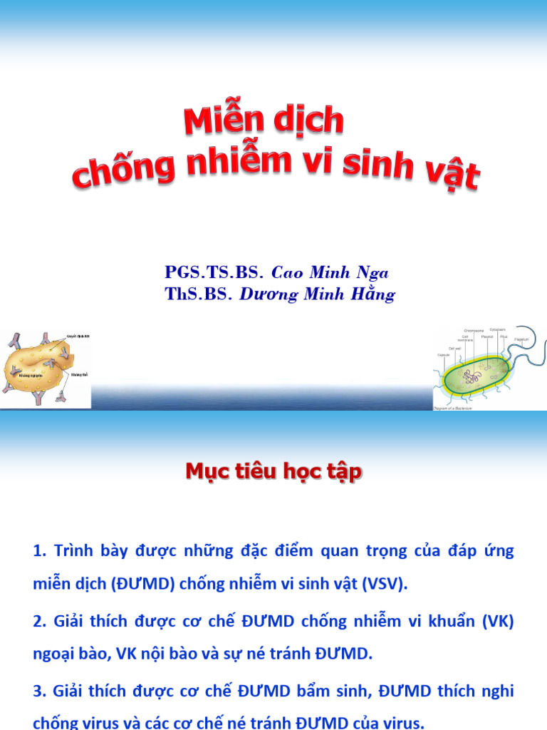 5.. MD CHỐNG NHIỄM VSV (1t), Từ NH 2023-24 - BS. NGA | PDF