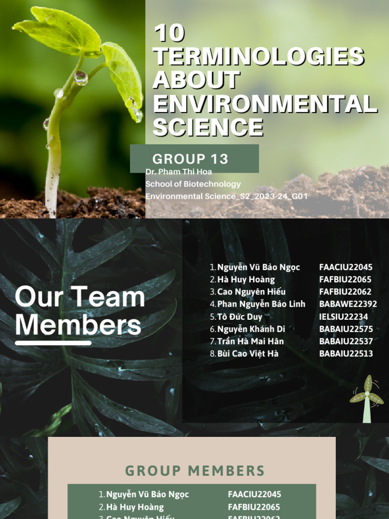 (Environmental Science) Presentation of Terminologies | PDF ...