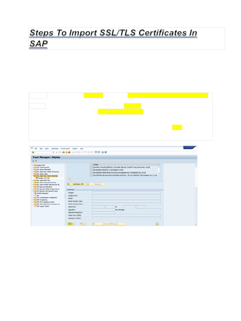 Steps To Import SSL Certificate in SAP 1735215491 | PDF