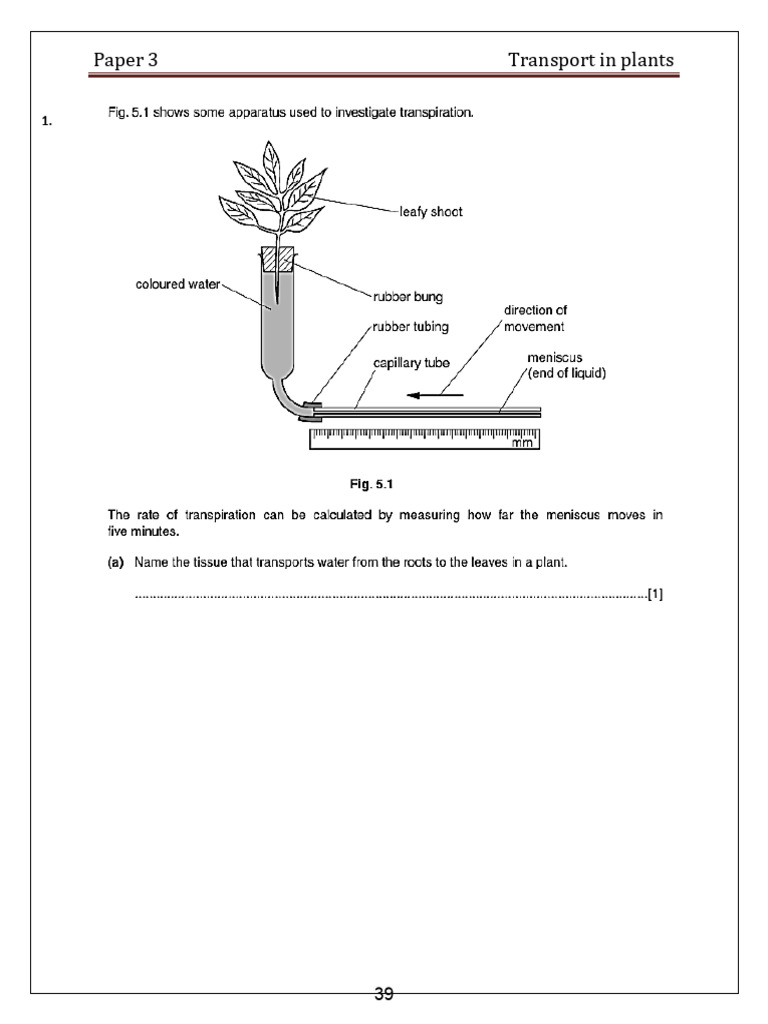 transport in plant hw (1) | PDF