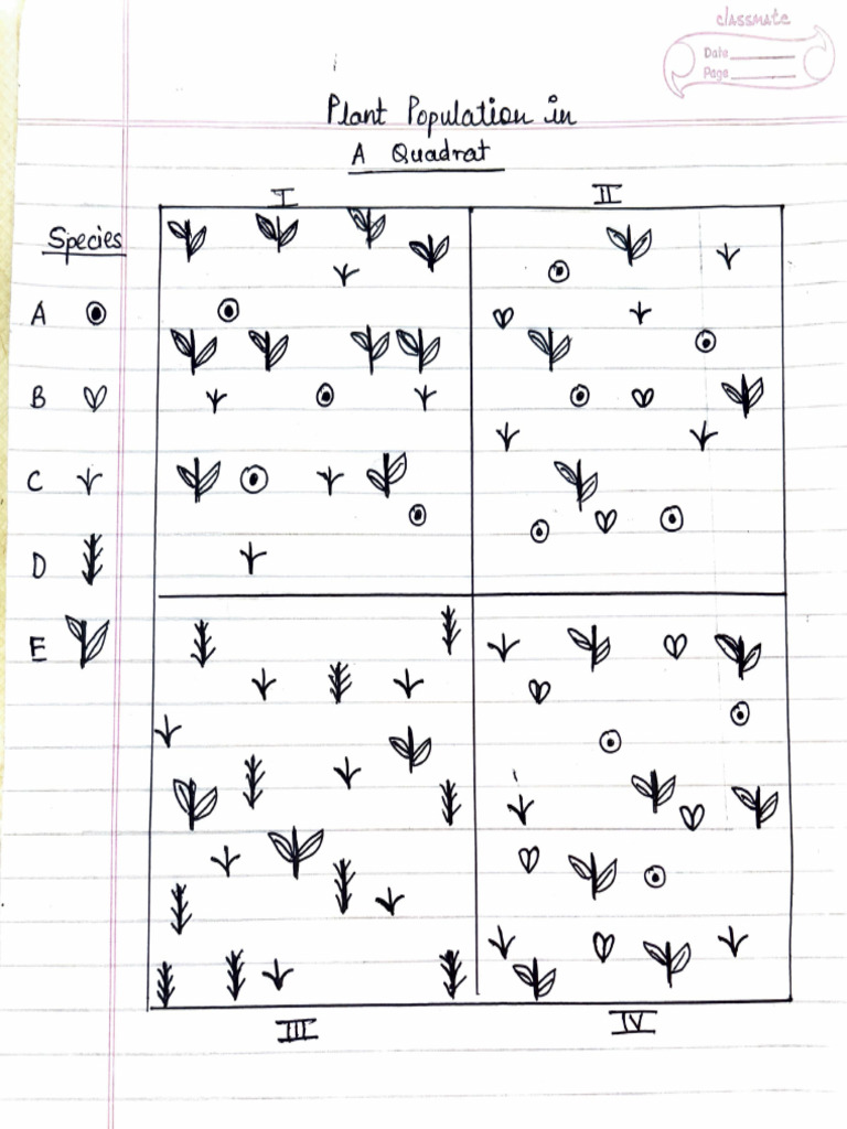 Minor Expt. - Plant Population Quadrat Method | PDF