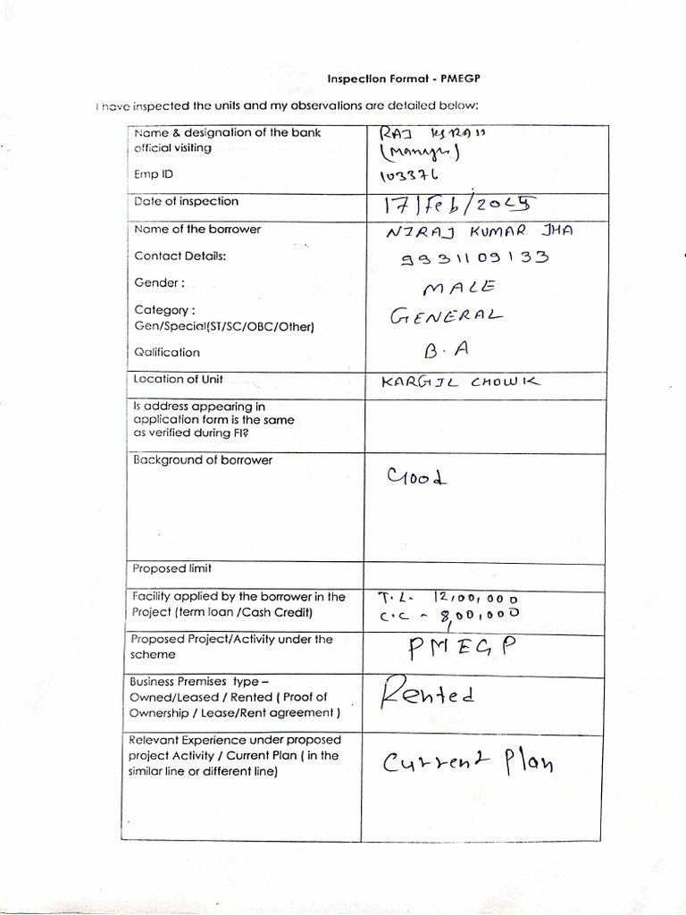 Inspection Format | PDF