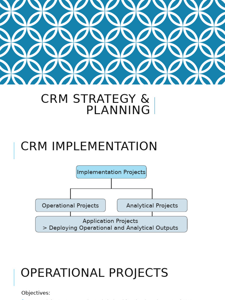 CRM Strategy & Planning | PDF | Customer Relationship Management ...