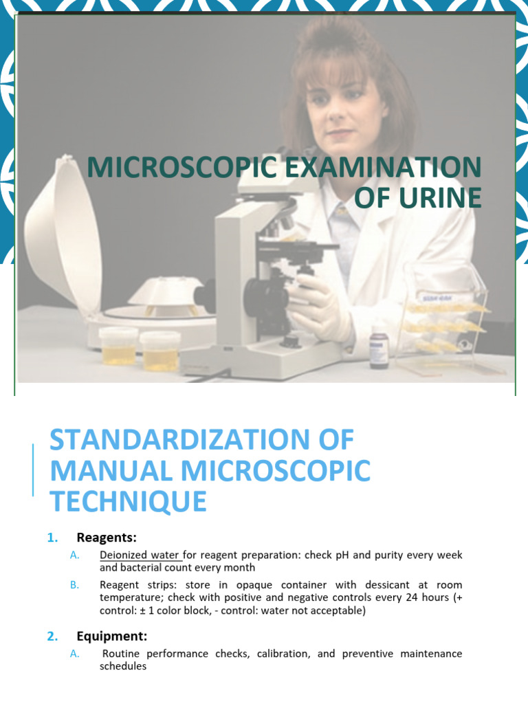 Microscopic Examination of Urine | PDF | Medical Specialties