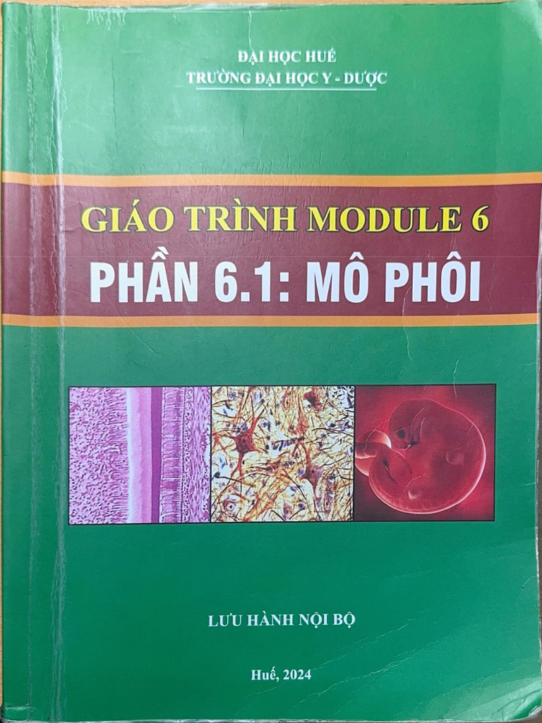 GIÁO-TRÌNH-MODULE-6 | PDF
