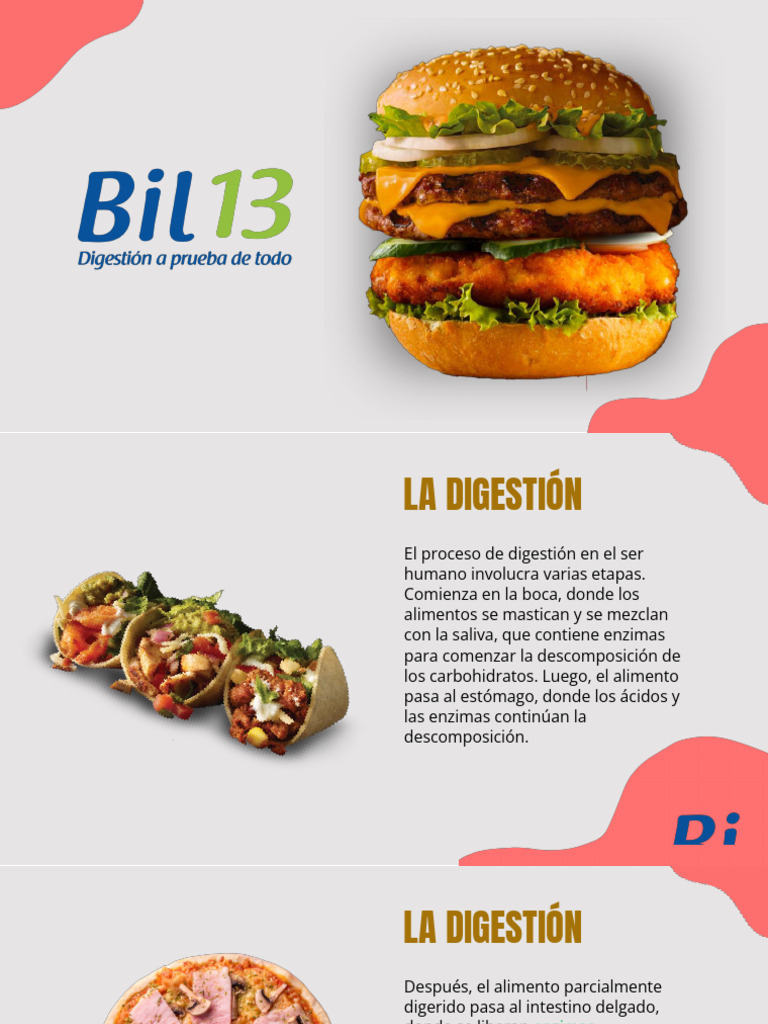 Digestión Humana y Función de la Bilis | PDF | Digestión | Bilis