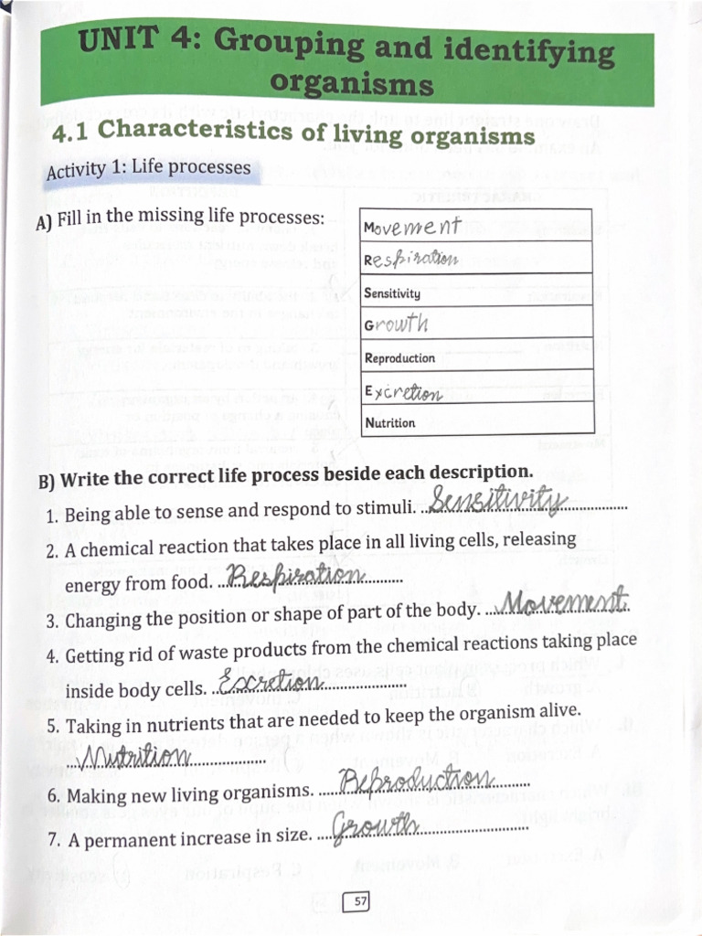 Unit 4 - WB | PDF