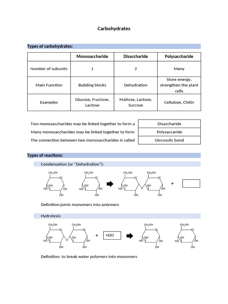 Carbohydrates_Worksheet Copy Copy | PDF | Carbohydrates | Polysaccharide