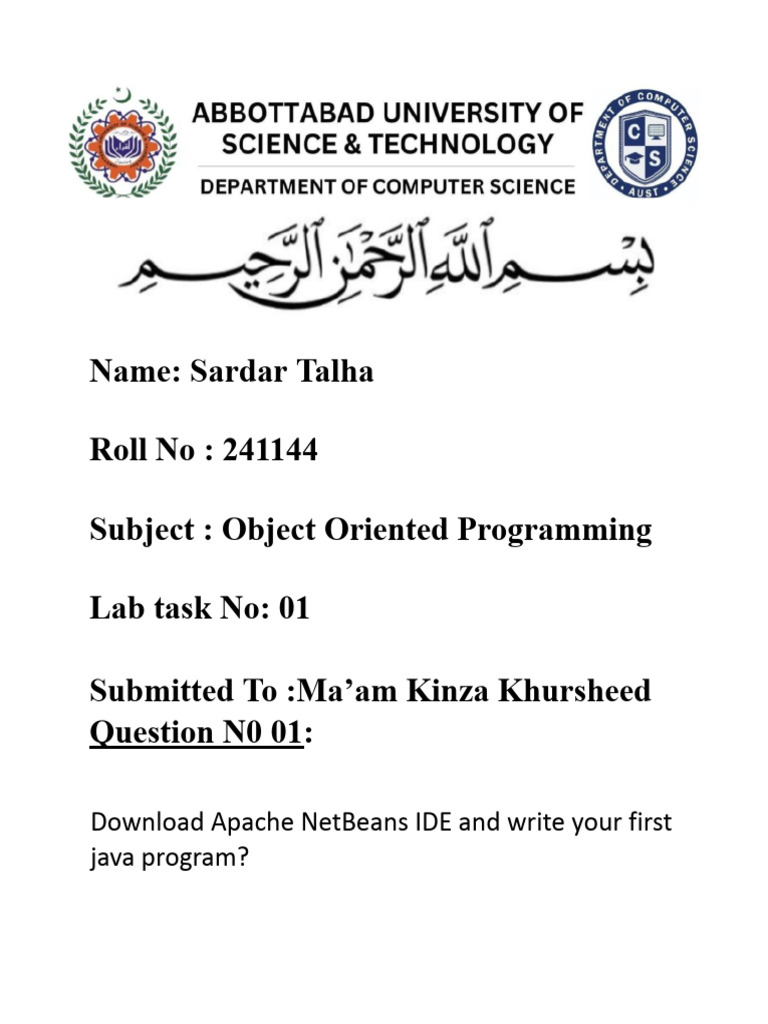 Java Program in NetBeans Guide | PDF
