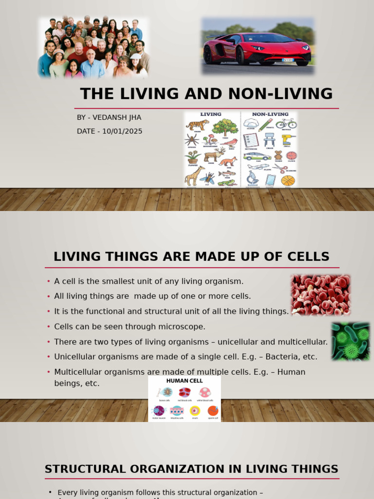 The Livng Organisms and Their Surroundings by Vedansh | PDF