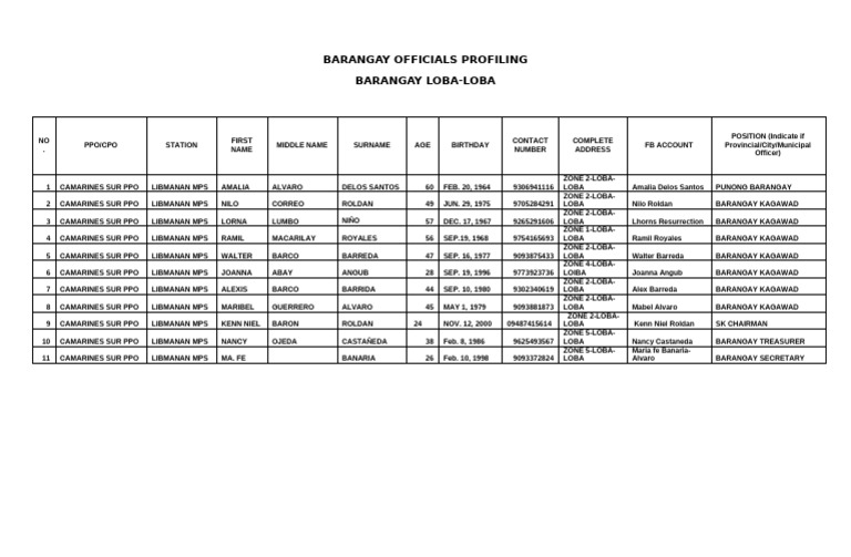 Barangay Officials Profiling | PDF