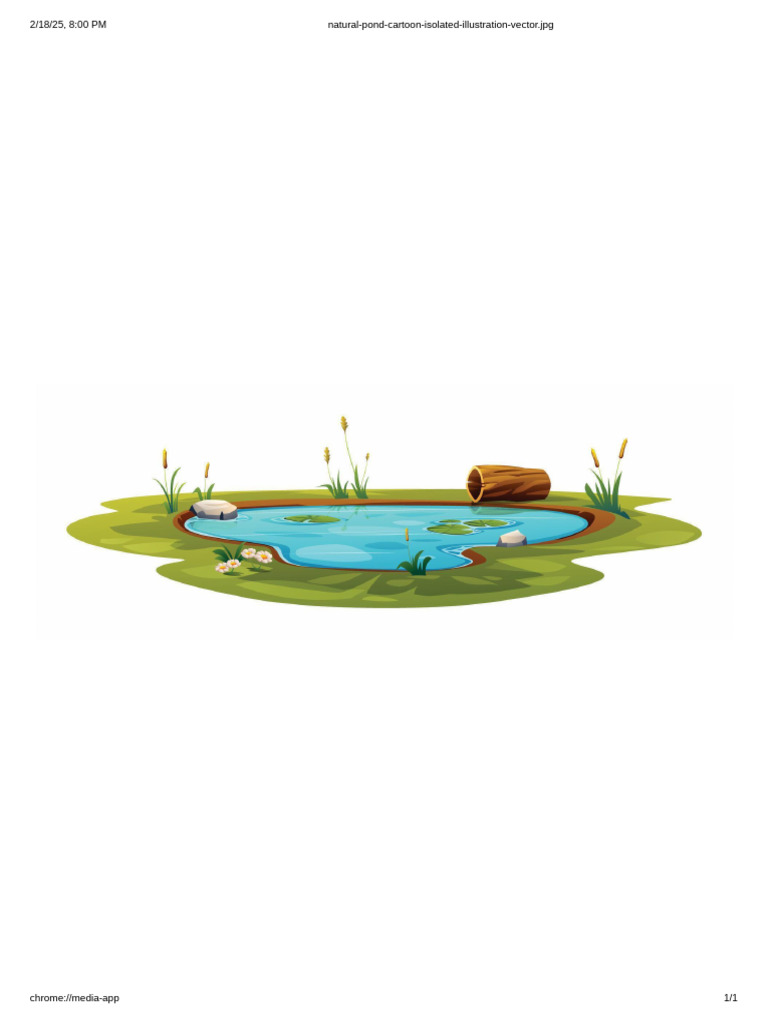 Pond Printable | PDF