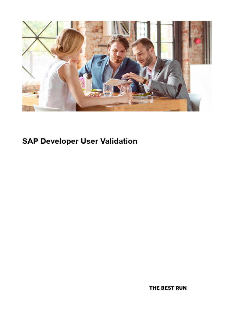 SAP Developer User Classification Report | PDF | Software | Trademark