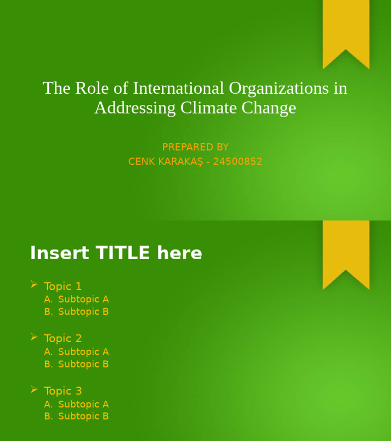 The Role of International Organizations in Addressing Climate | PDF