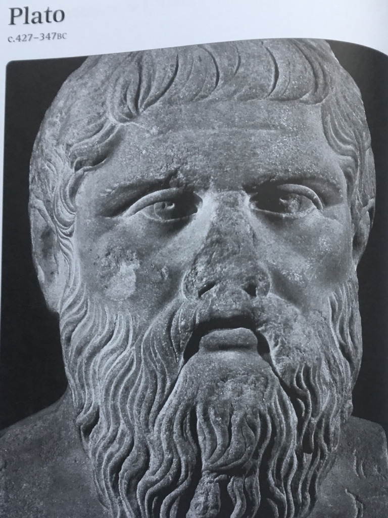 Plato's Theory of Forms and Society | PDF | Plato | Idea