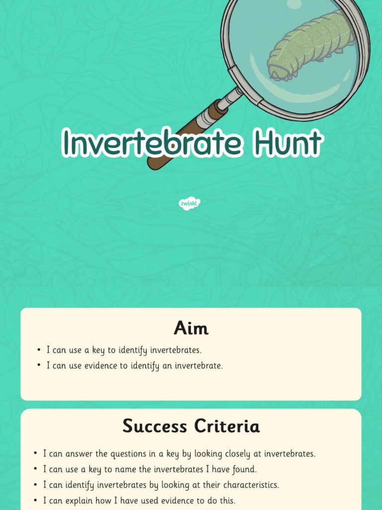 Science-Classifying Invertebrates | PDF