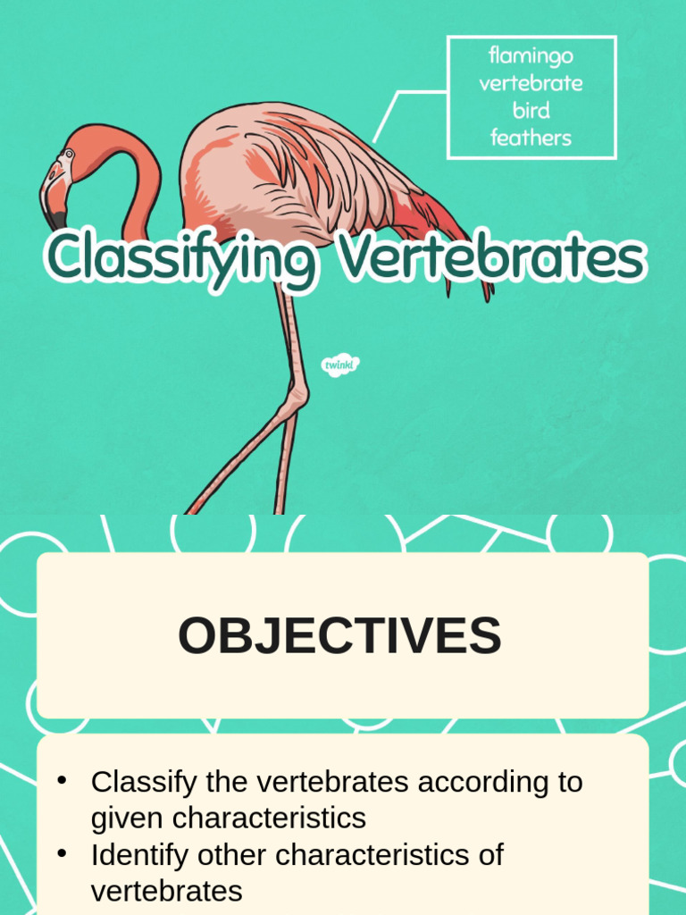 Science-Classifying Vertebrates | PDF