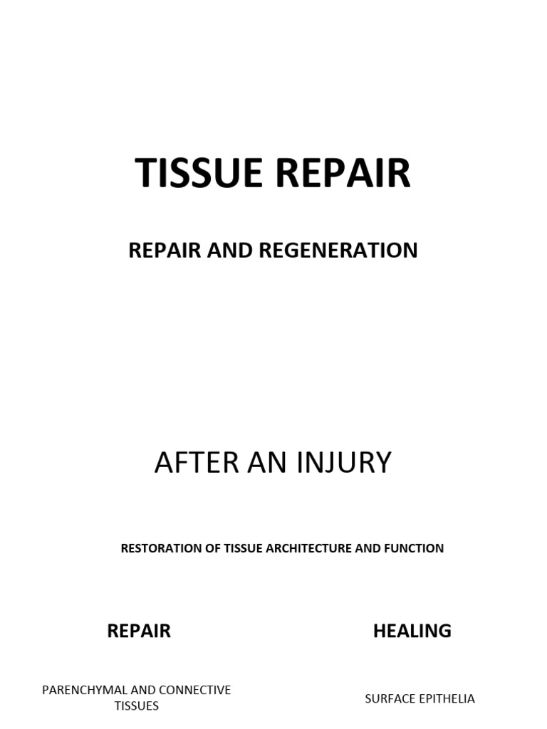Tissue Repair and Regeneration Guide | PDF