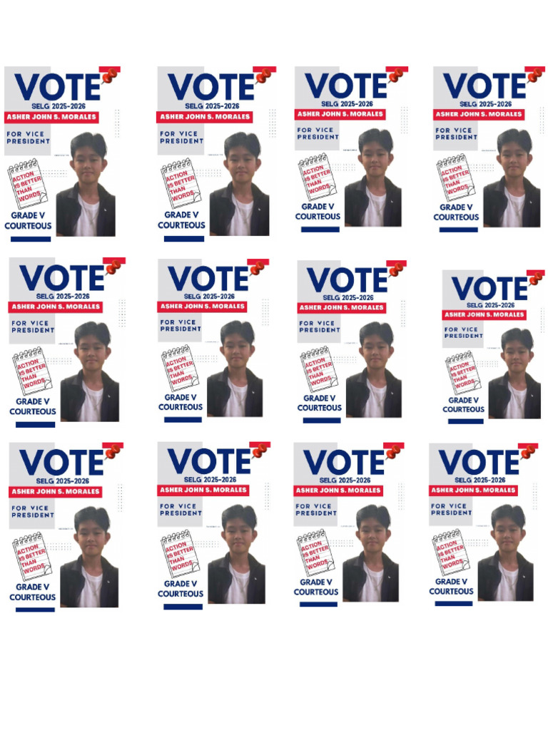 Asher Campaign Poster | PDF