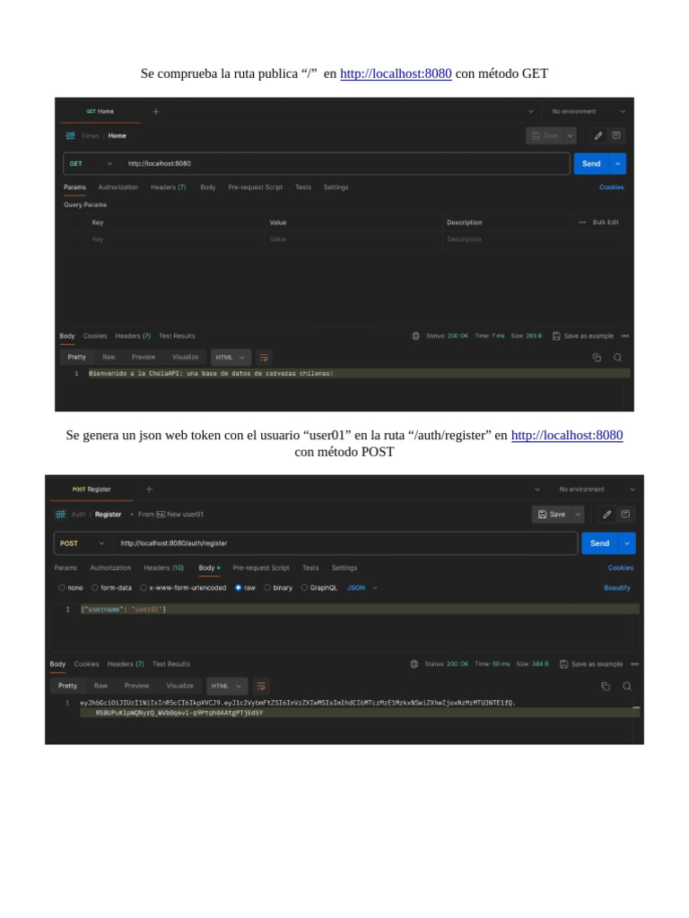 Acceso API con JWT en localhost | PDF