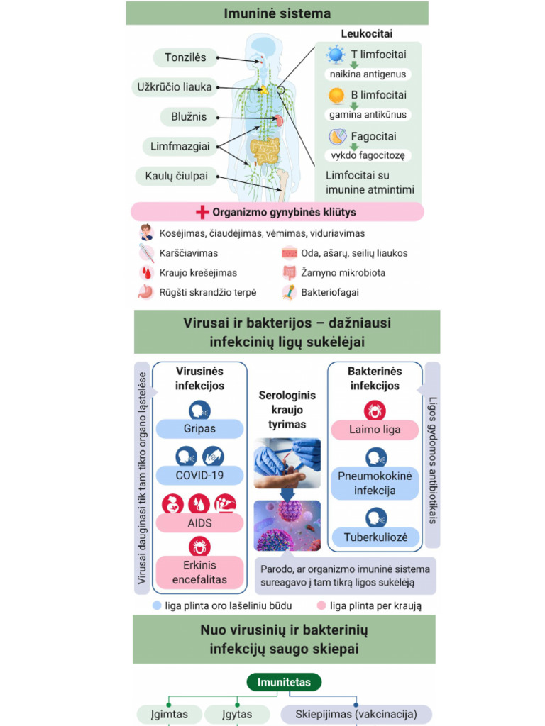 9-Oku Kartojimas - Imunitetas | PDF