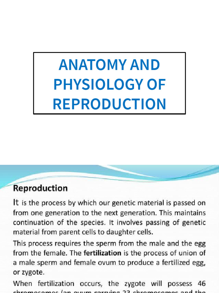 Anatomy and Physiology of Reproduction | PDF