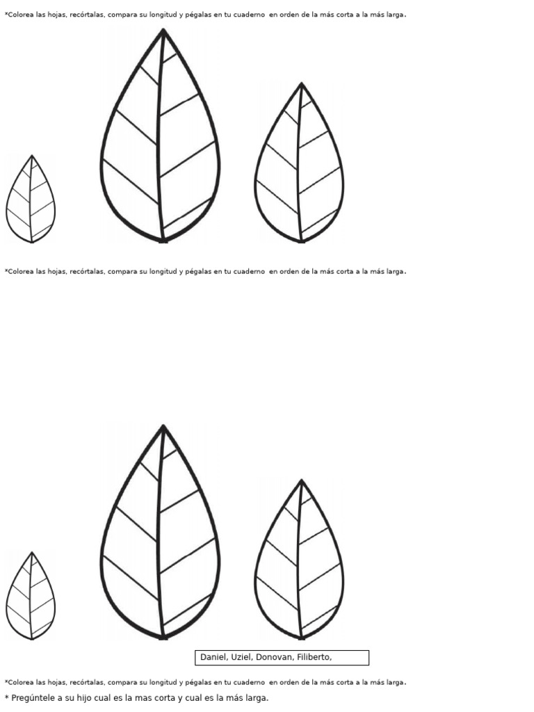 Actividad de longitud con hojas coloreadas | PDF