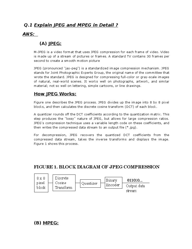 Multimedia Assignment | PDF | Data Compression | Video
