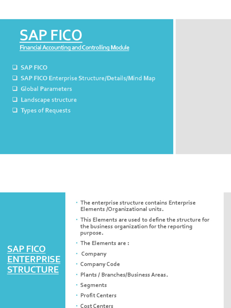 SAP FICO Enterprise Structure | PDF | Business | Accounts Payable