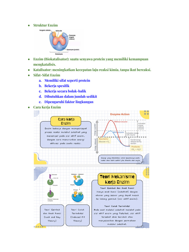 Materi Enzim, Katabolisme, Fermentasi, Fotosintesis | PDF