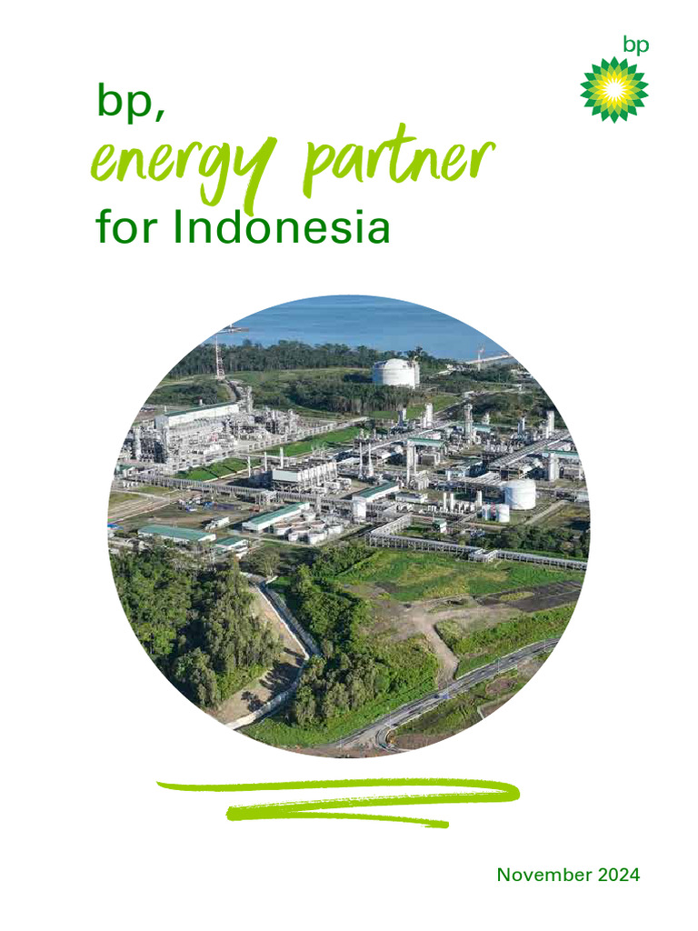"BP's Energy Initiatives in Indonesia" | PDF | Bp | Indonesia