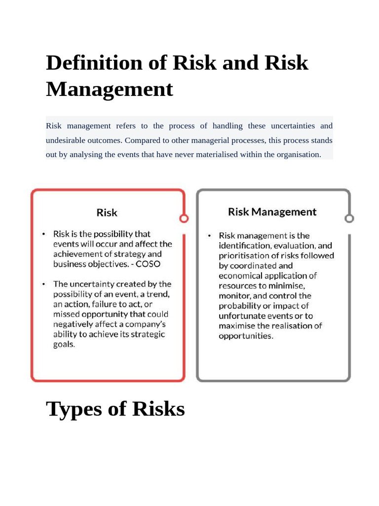 Understanding Risk Management Basics | PDF | Risk | Risk Management