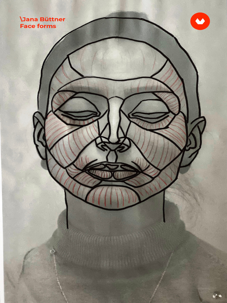 U3_02_Face forms (2) | PDF