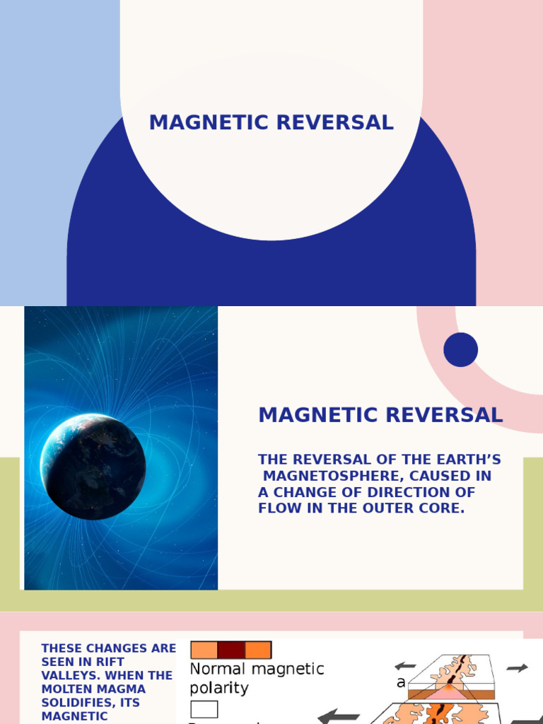 Magnetic Reversal | PDF