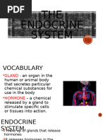 gr12 Endocrinesystemnotes | PDF | Endocrine System | Hormone