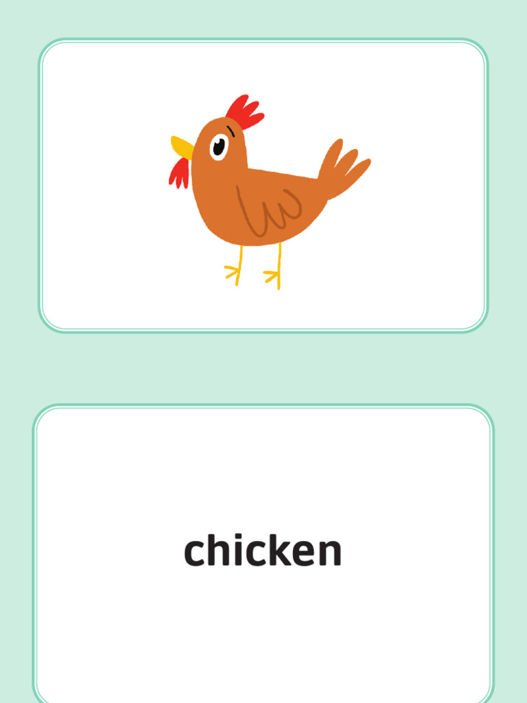 Level 2 Animal Flashcards | PDF