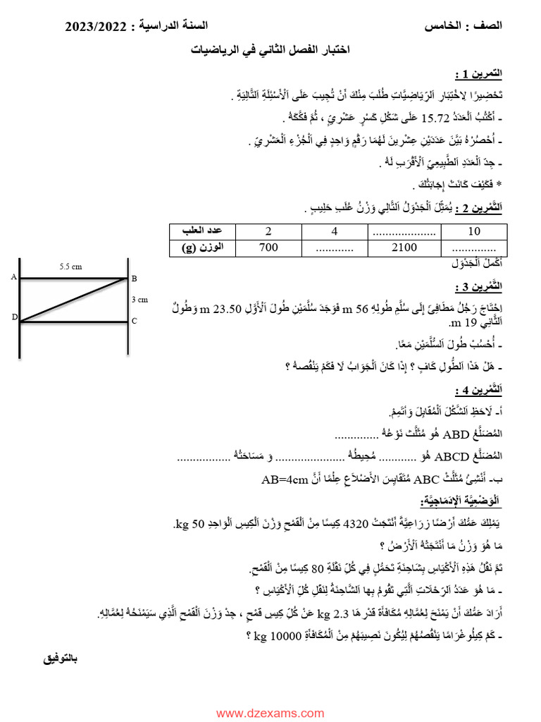 5th Grade Math Exam Review | PDF