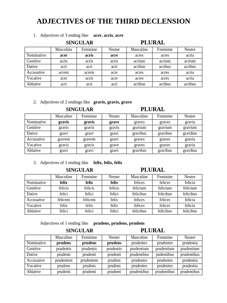 THIRD-DECLENSION-ADJECTIVES | PDF | Grammatical Gender | Language Mechanics