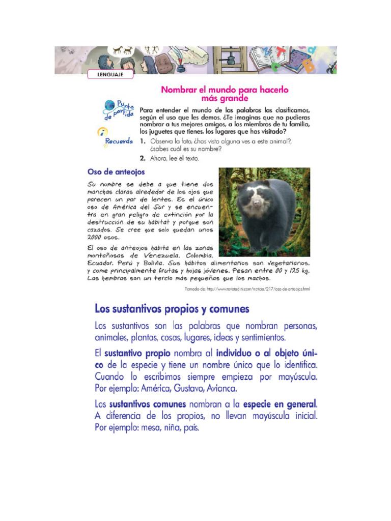 Los Sustantivos | PDF