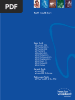Ivoclar Blueline Mould Chart | PDF