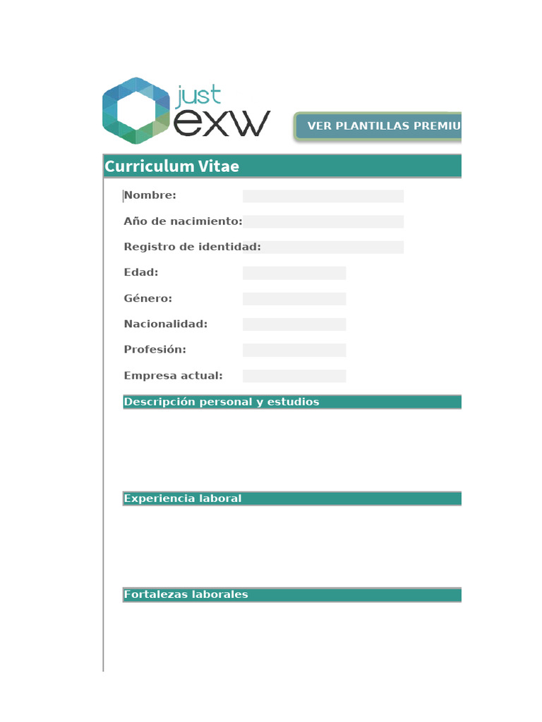 Plantilla Excel Curriculum Vitae | PDF
