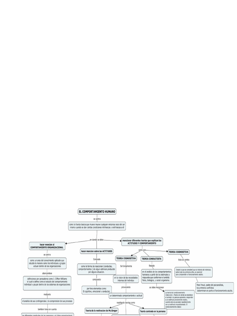 Mapa Conceptual Comportamiento Humano | PDF