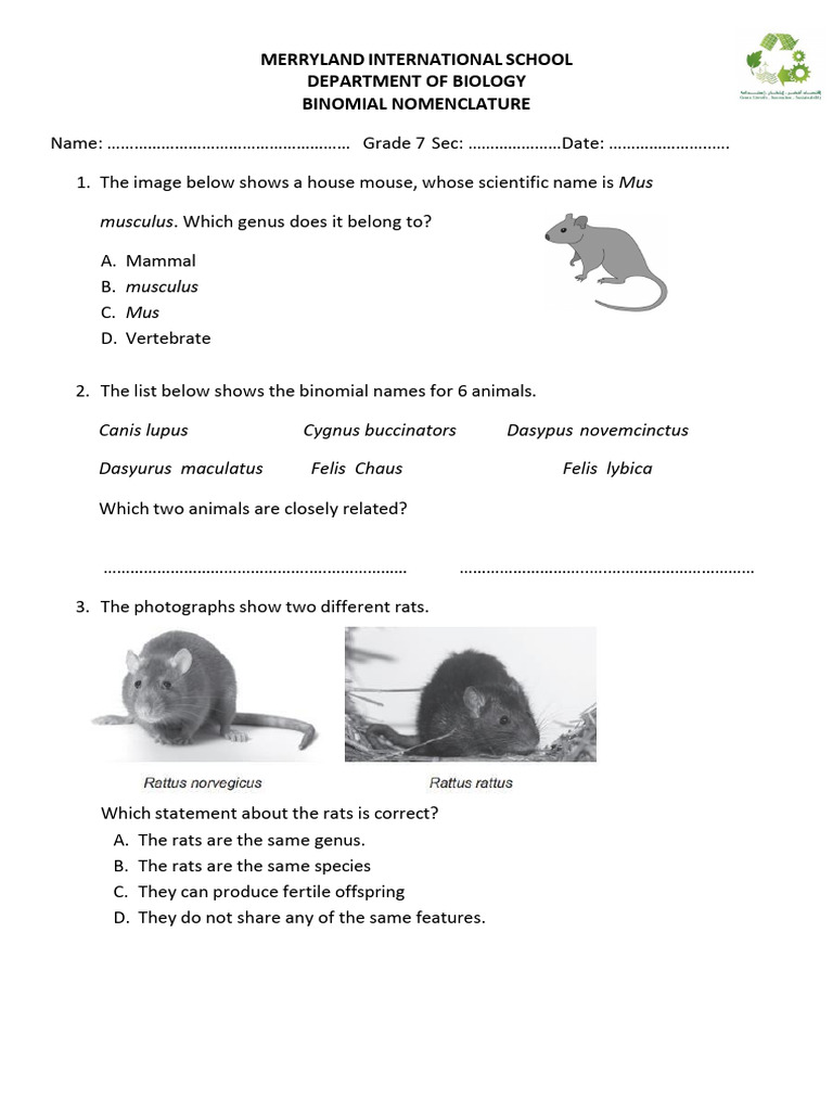Binomial Nomenclature Worksheet | PDF | Biological Classification | Biology