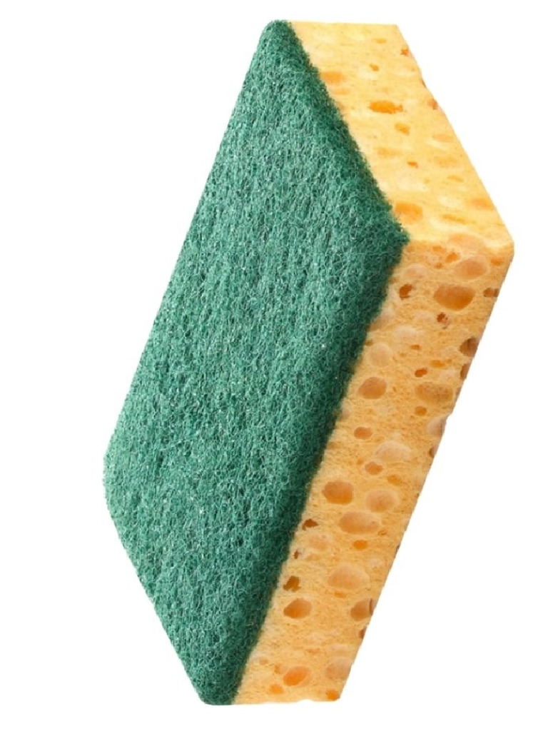 Eponge Vegetale Et Recurant de Nettoyage Tous Supports | PDF